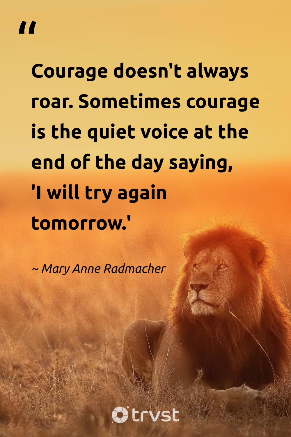 50 Courage Quotes To Empower You Daily