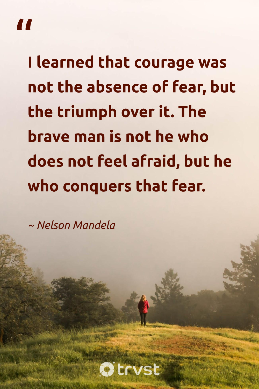 50 Courage Quotes To Empower You Daily