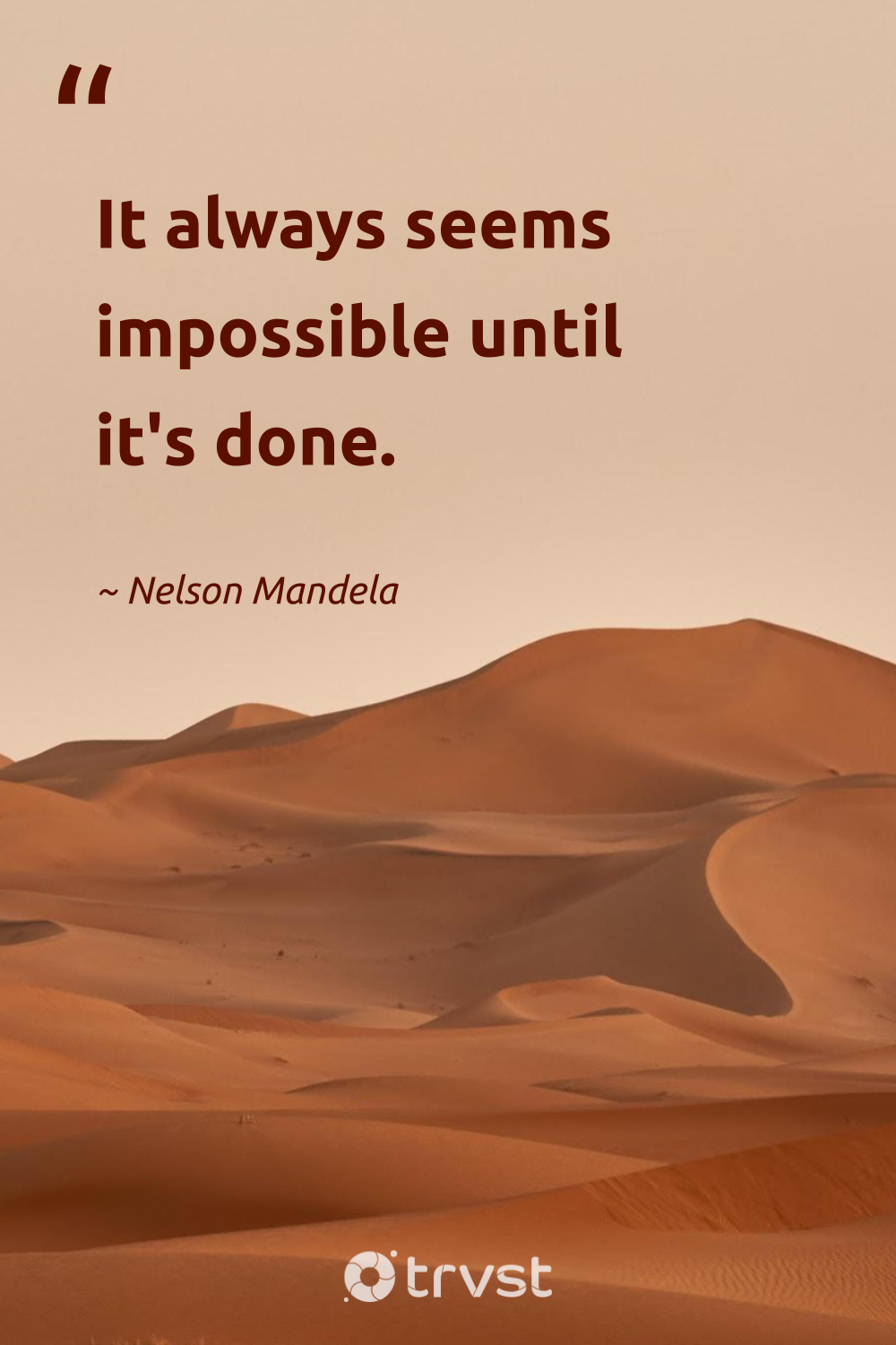 50 Courage Quotes To Empower You Daily