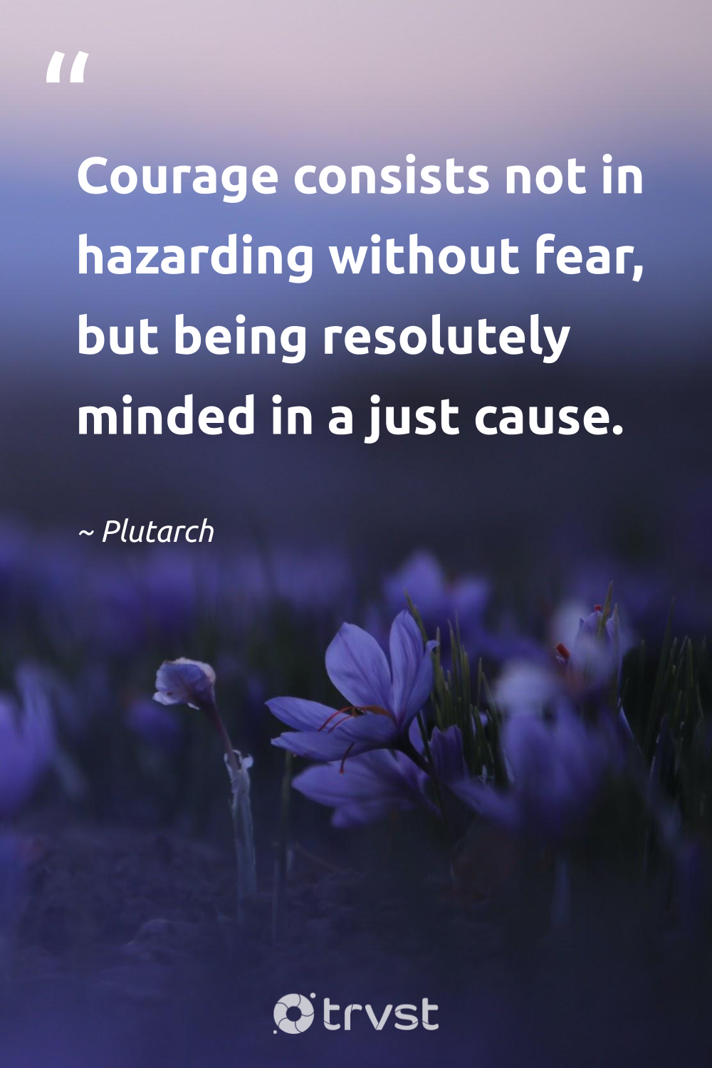 50 Courage Quotes To Empower You Daily