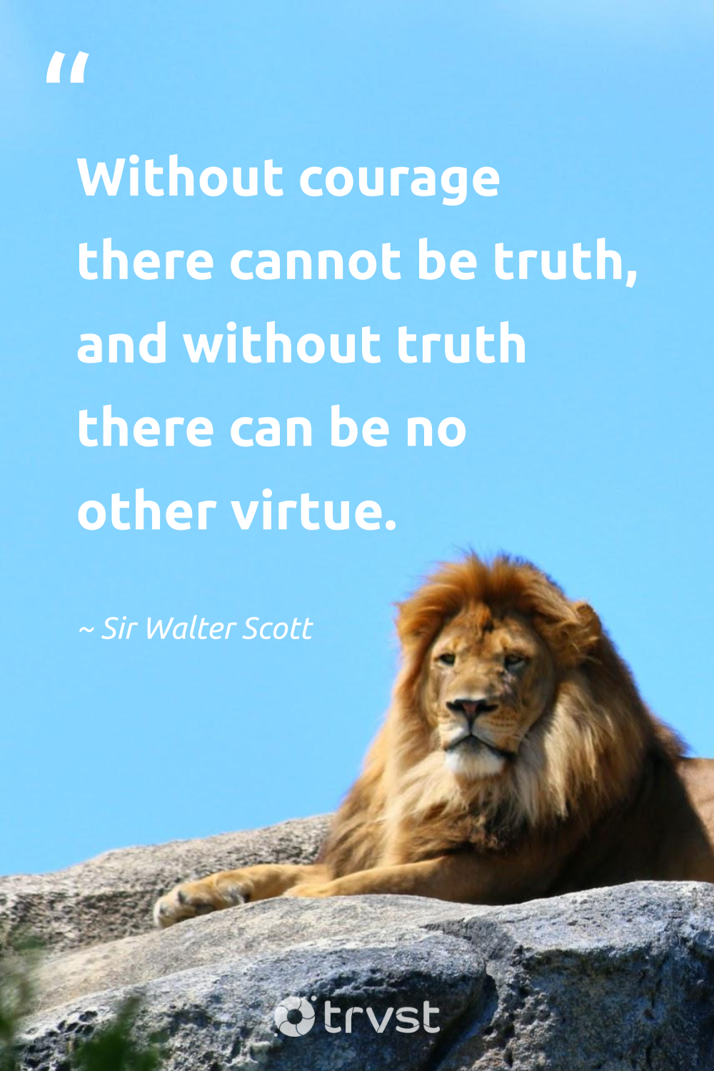 50 Courage Quotes To Empower You Daily