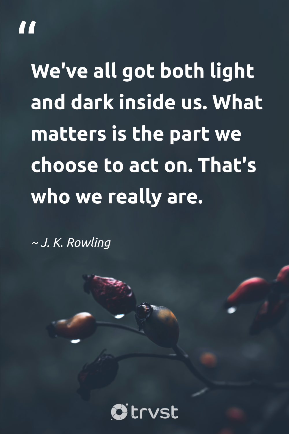 80 Dark Quotes About its Haunting Beauty That Let Hope Shine (2024)