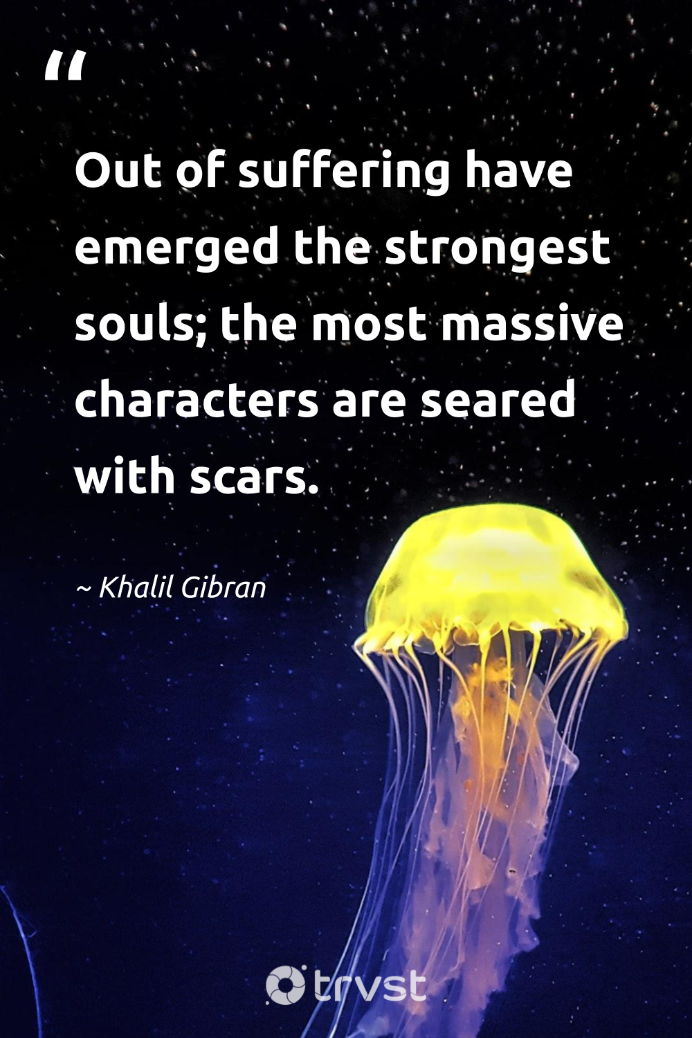 80 Dark Quotes About its Haunting Beauty That Let Hope Shine (2024)