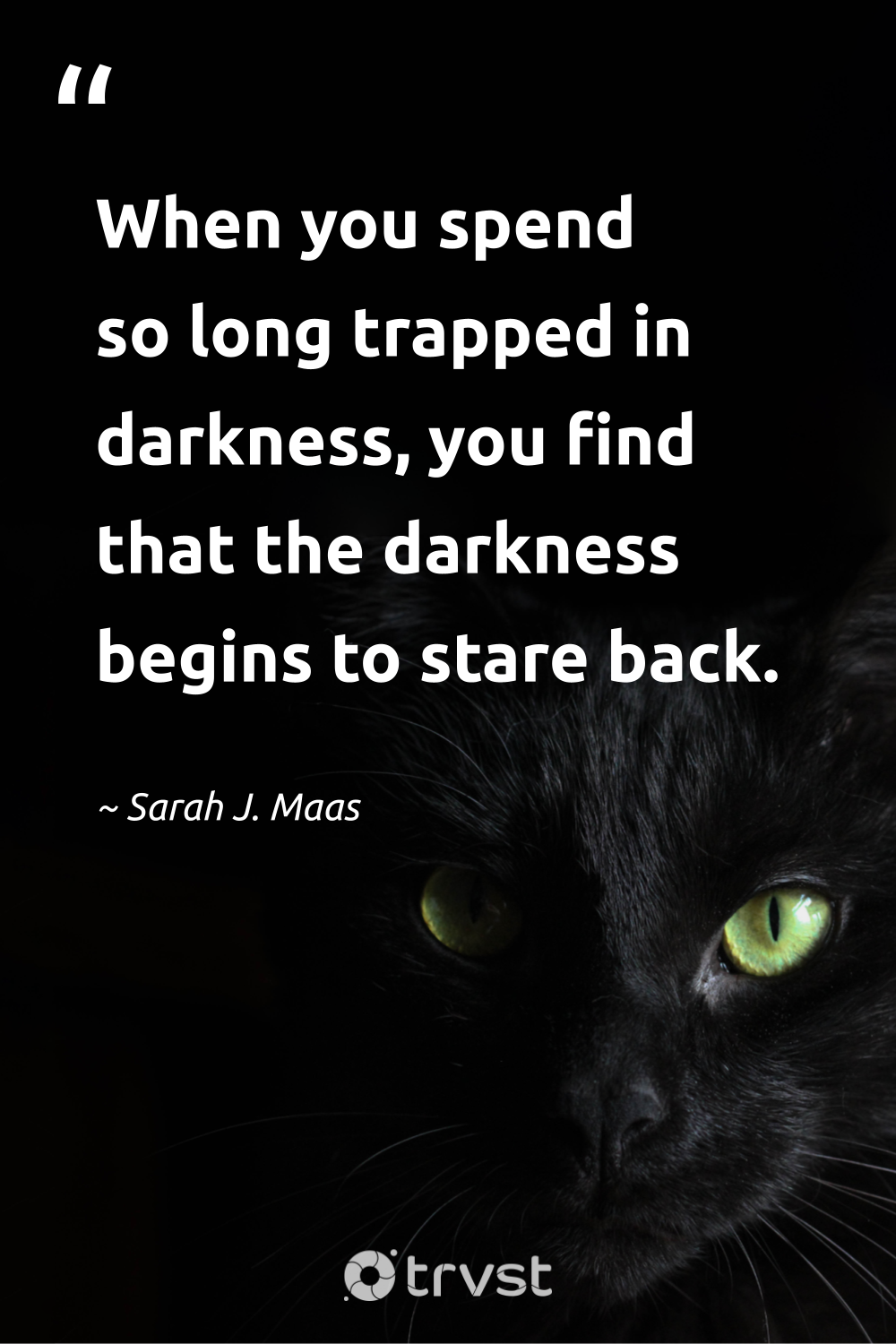 80 Dark Quotes About its Haunting Beauty That Let Hope Shine (2024)