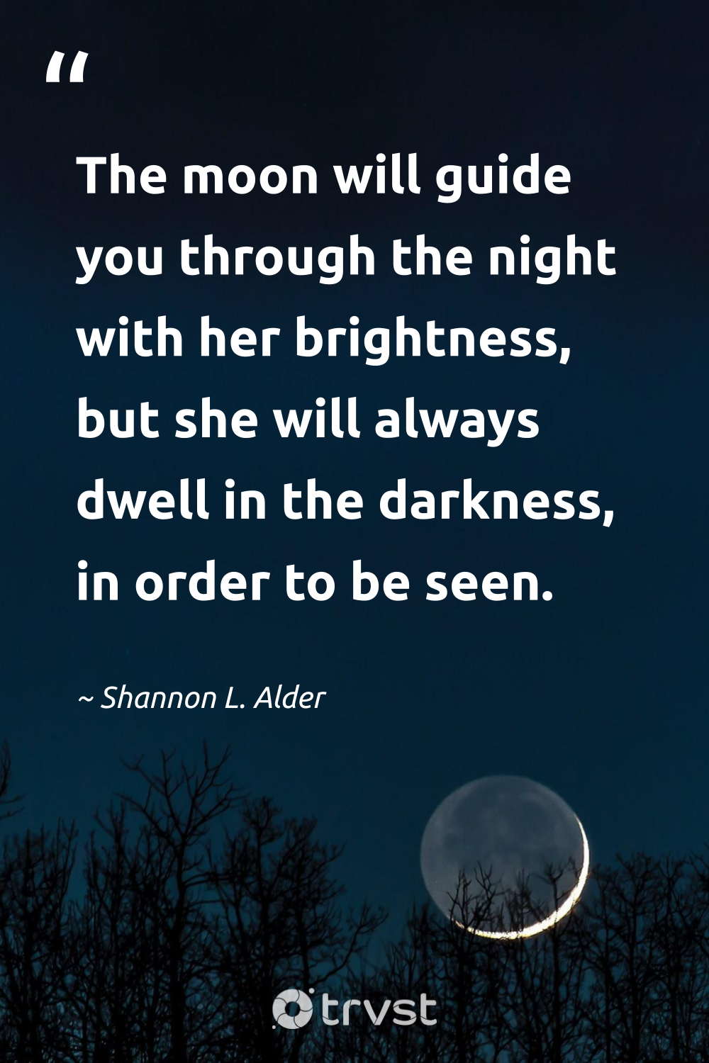 80 Dark Quotes About its Haunting Beauty That Let Hope Shine (2024)