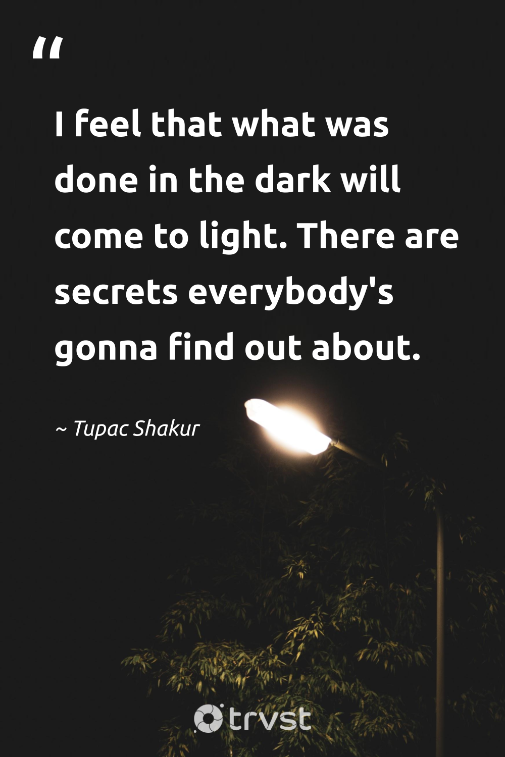 80 Dark Quotes About its Haunting Beauty That Let Hope Shine (2024)