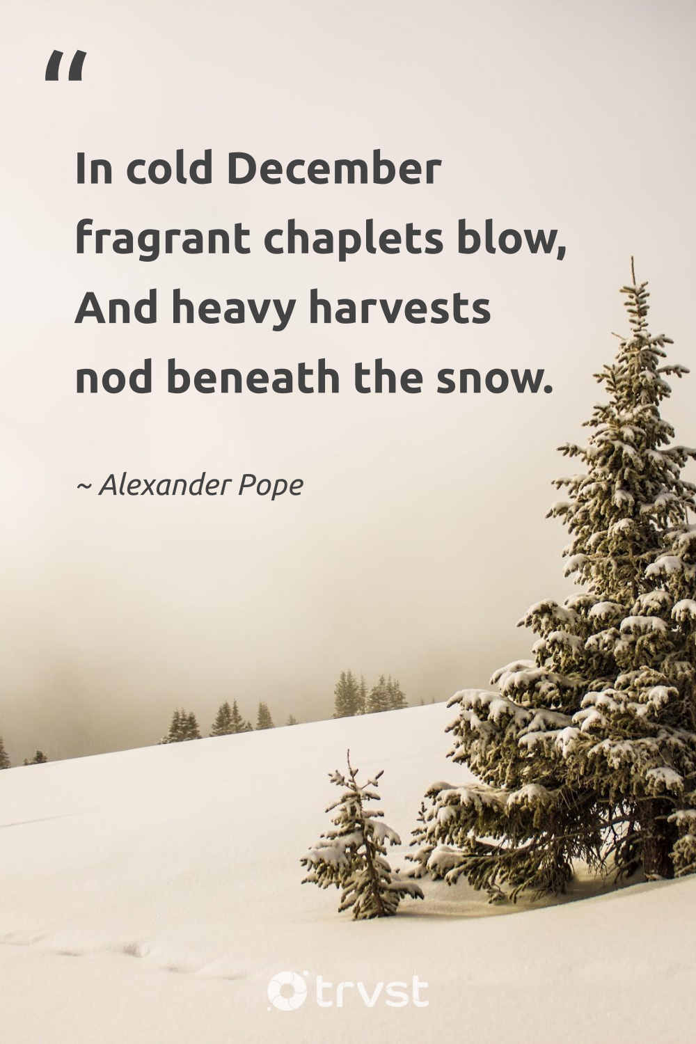 49 December Quotes and Sayings to Love the Last month