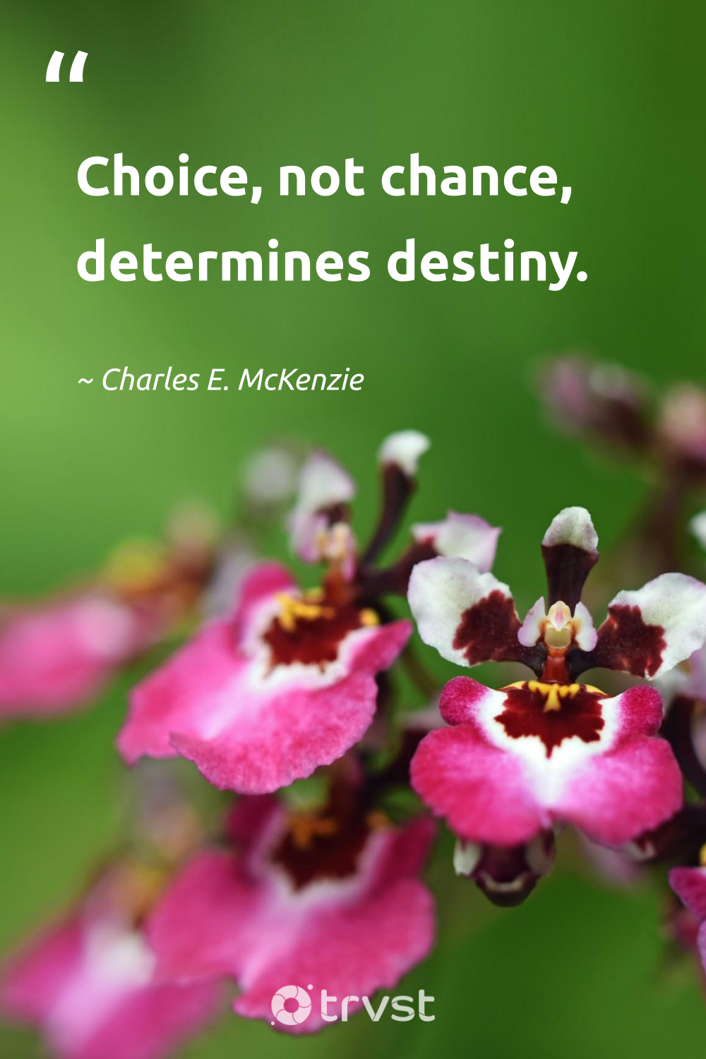 52 Destiny Quotes And Sayings To Master Your Future