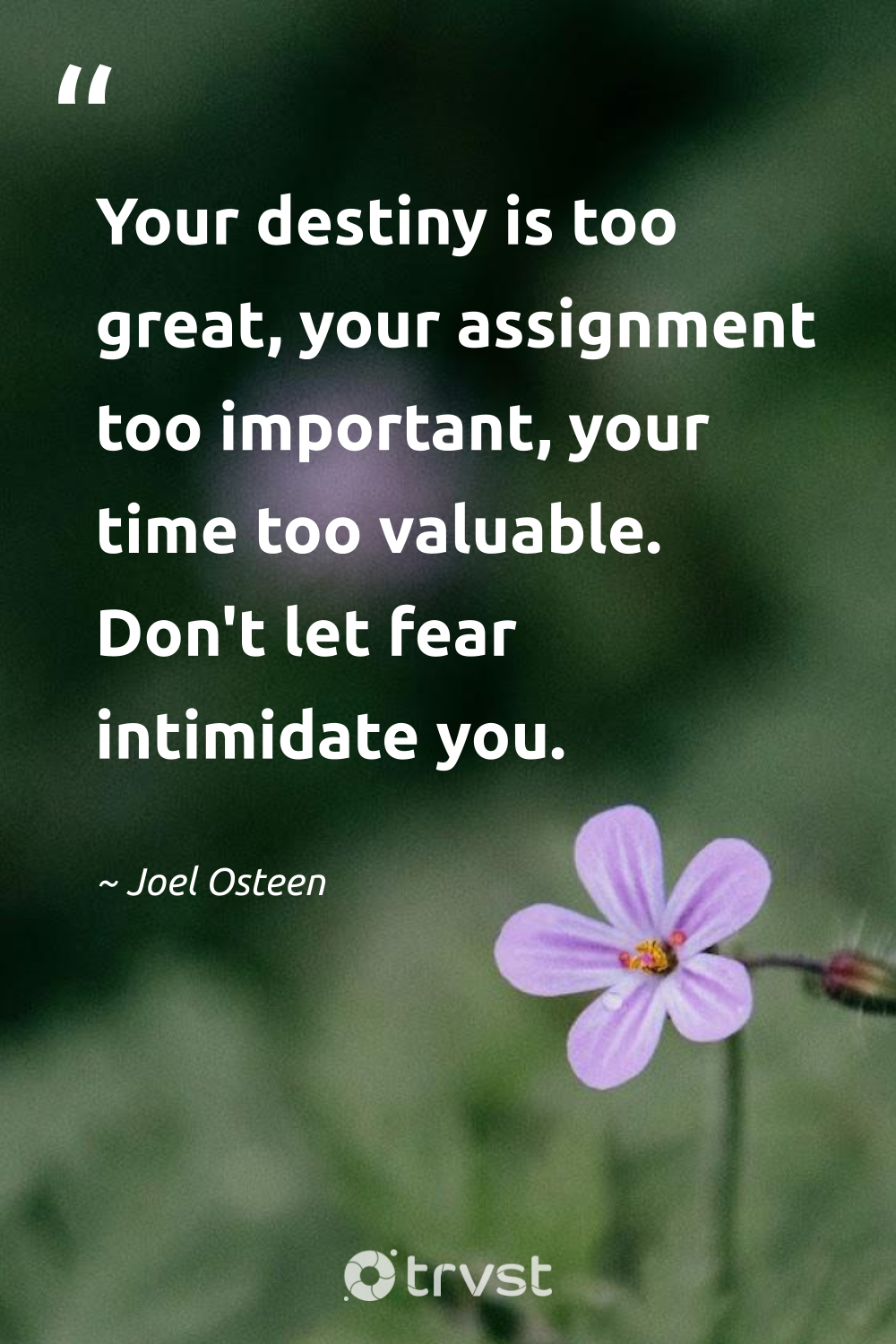 52 Destiny Quotes And Sayings To Master Your Future