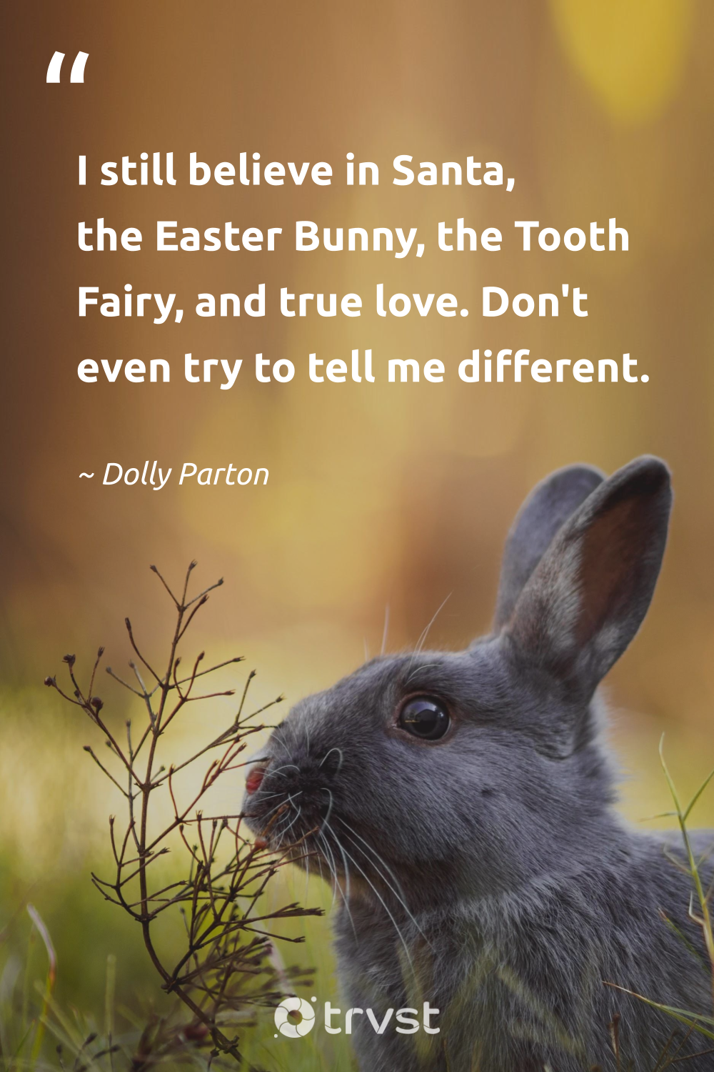 31 Easter Quotes and Sayings to Celebrate Renewal