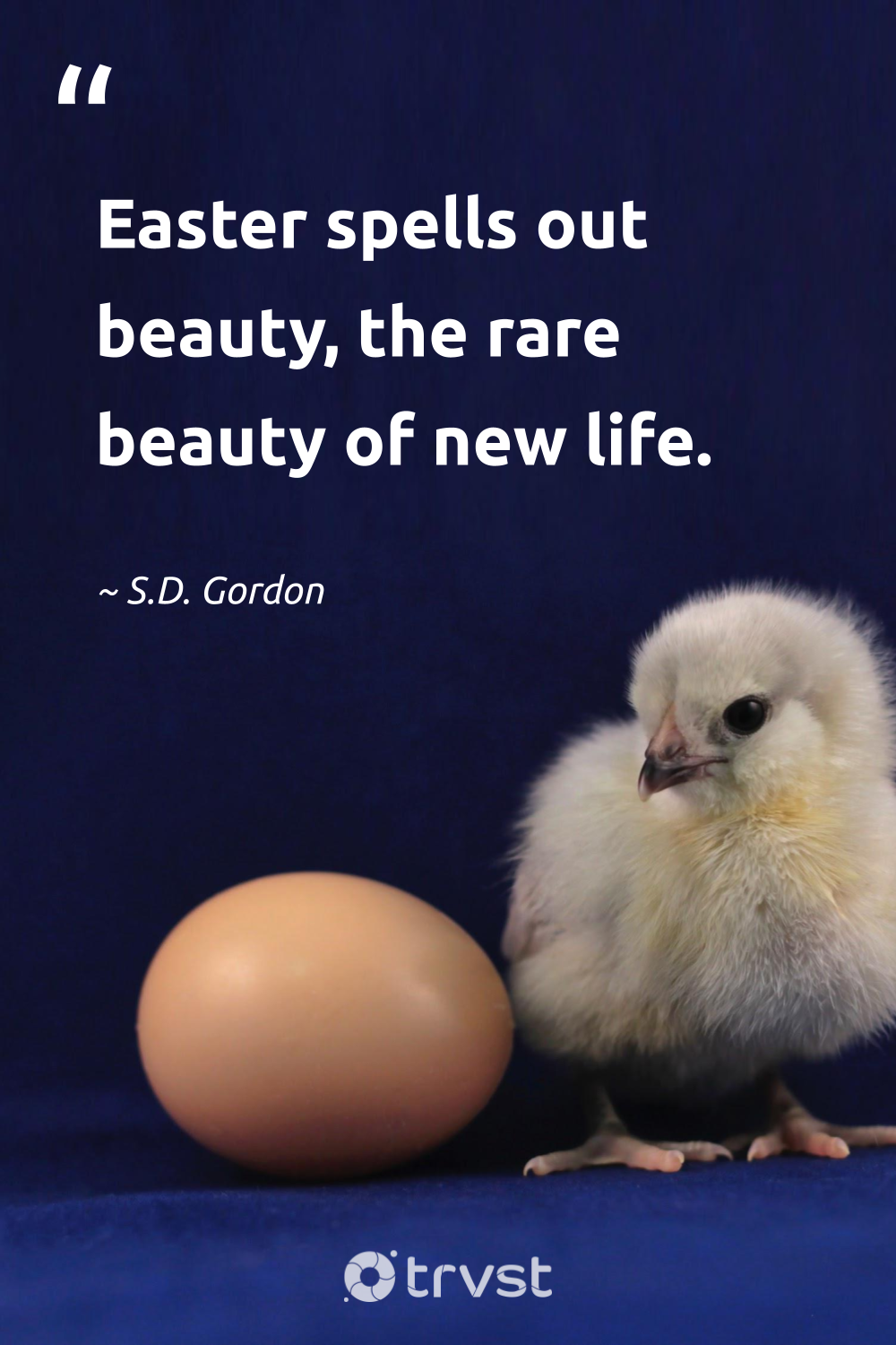 31 Easter Quotes and Sayings to Celebrate Renewal