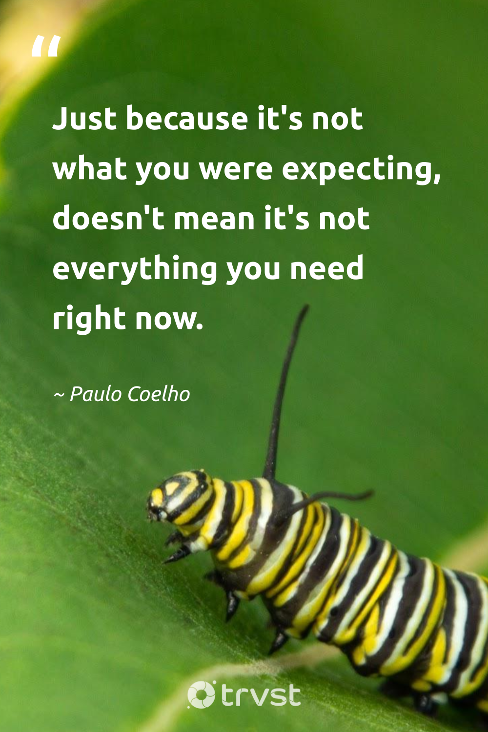 41 Expectation Quotes On How To Manage It