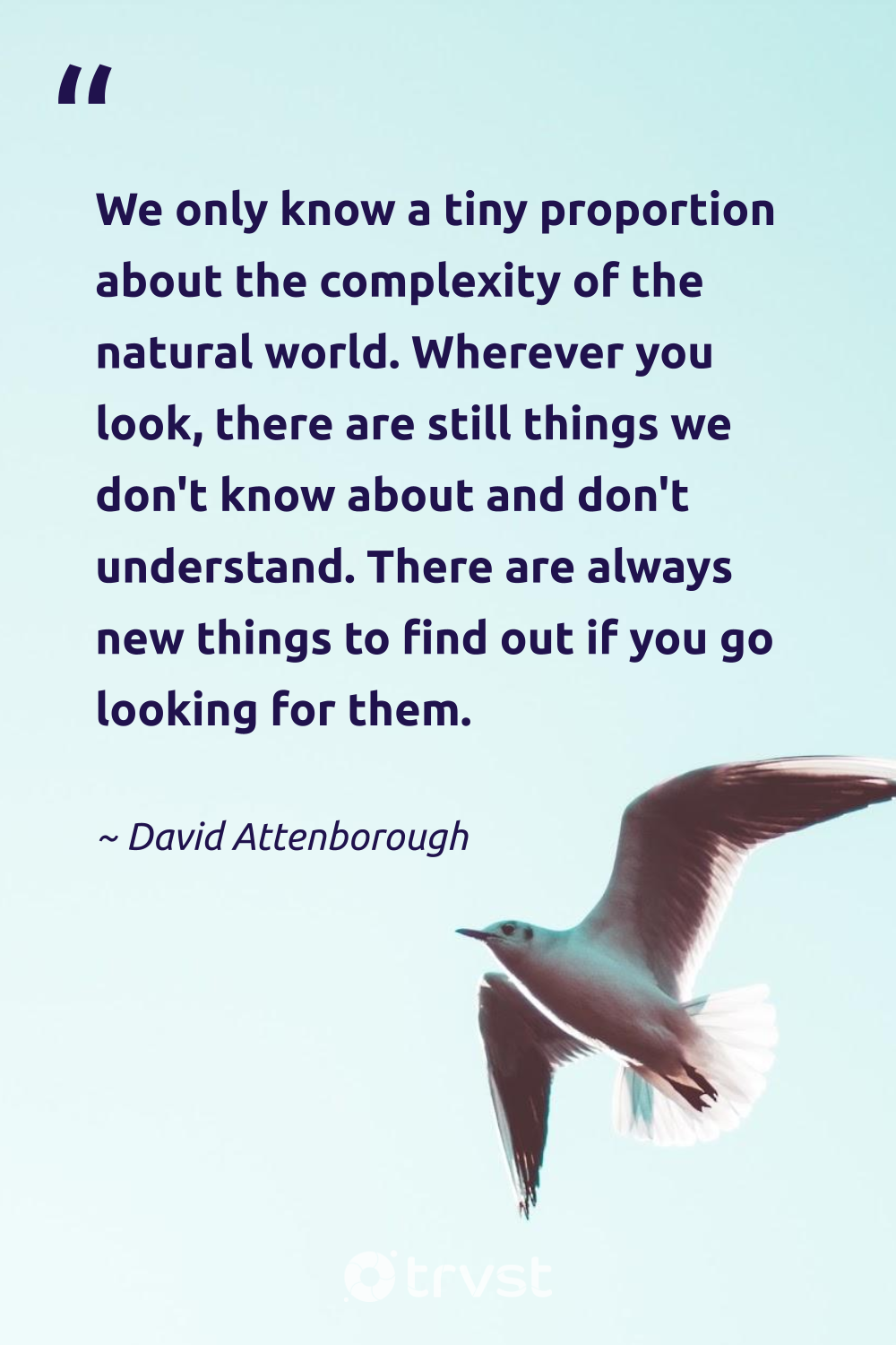 60 Explore Quotes To Fuel Your Adventurous Spirits