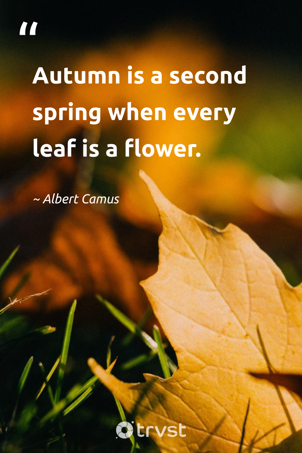Top 30 Fall Quotes About The Warmth Of Autumn