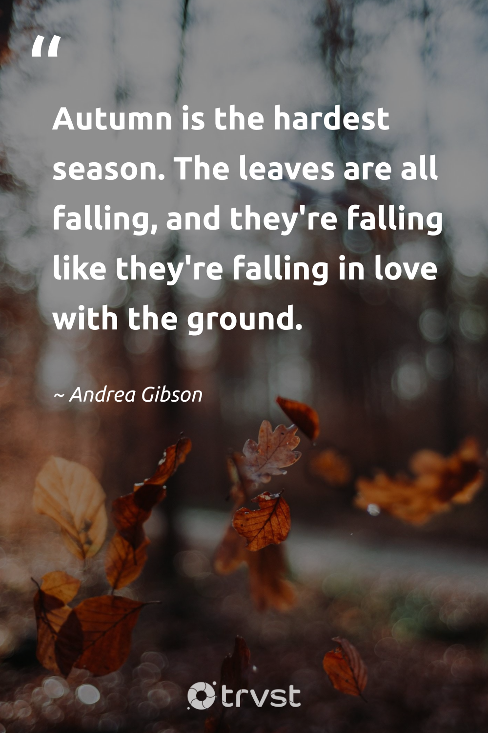Top 30 Fall Quotes About The Warmth Of Autumn
