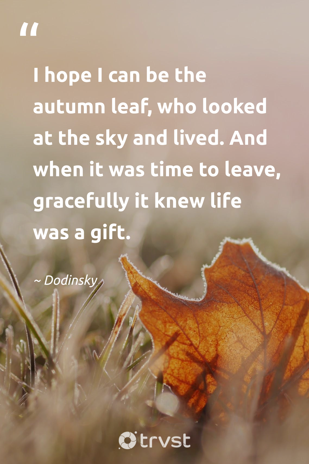 Top 30 Fall Quotes About The Warmth Of Autumn