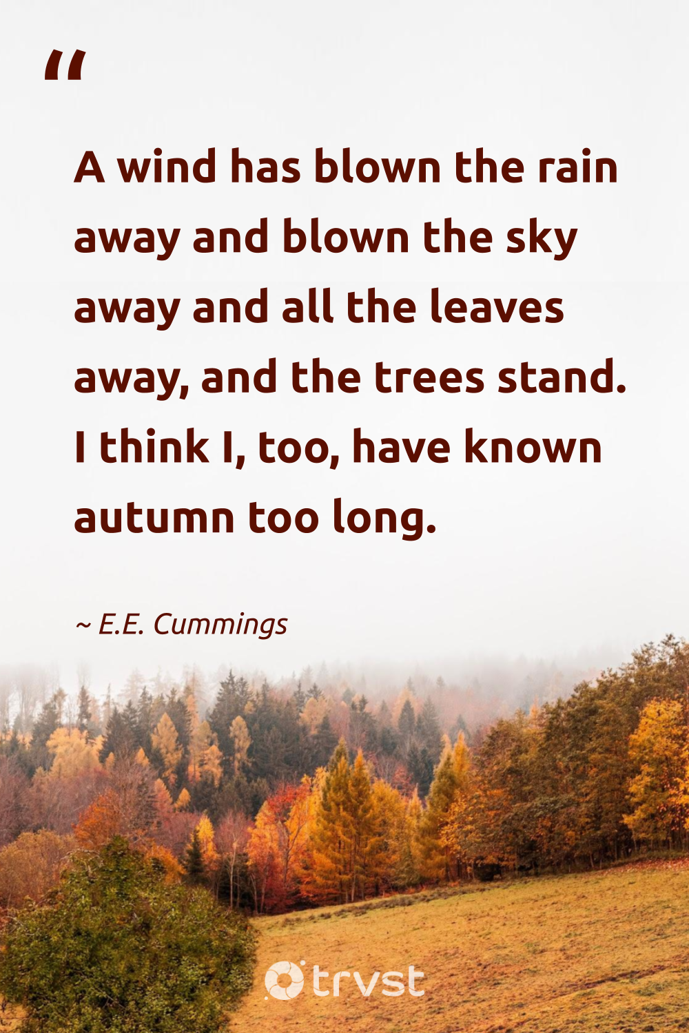 Top 30 Fall Quotes About The Warmth Of Autumn