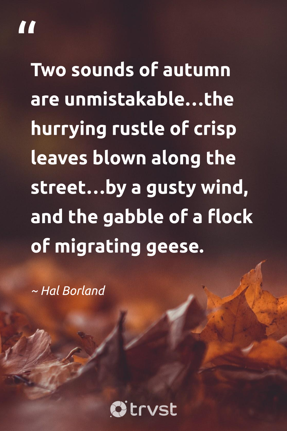 Top 30 Fall Quotes About The Warmth Of Autumn