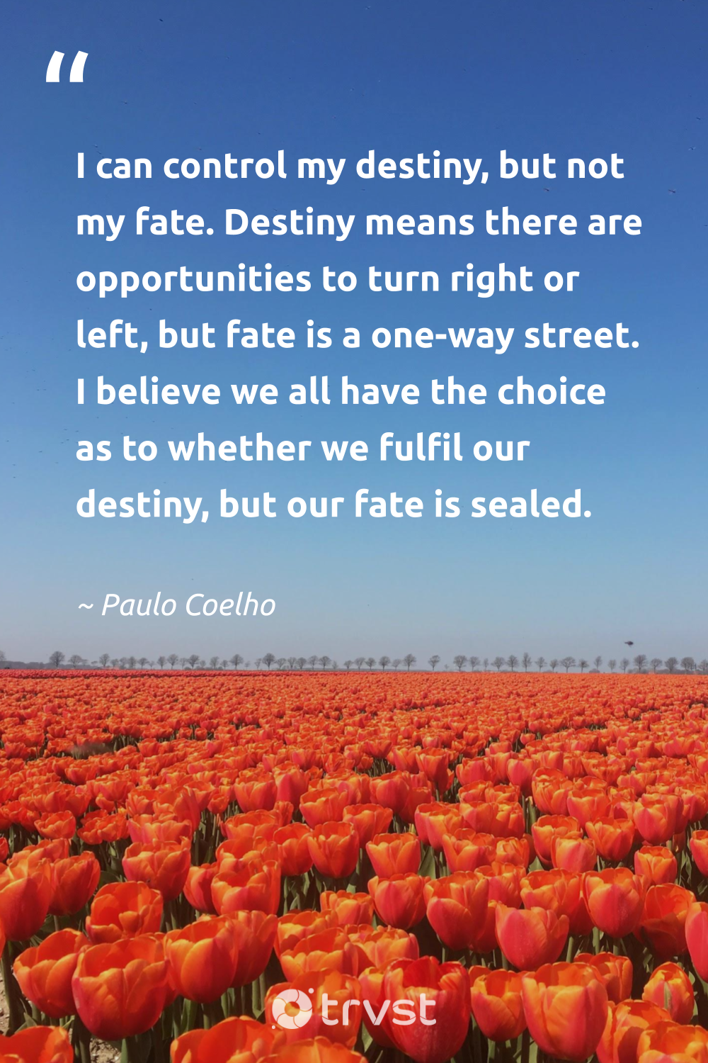 45 Fate Quotes Unlocking The Secrets Of Life’s Paths