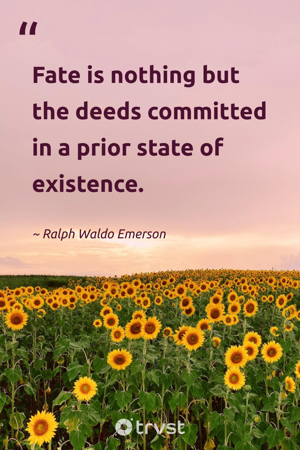 45 Fate Quotes Unlocking The Secrets Of Life’s Paths