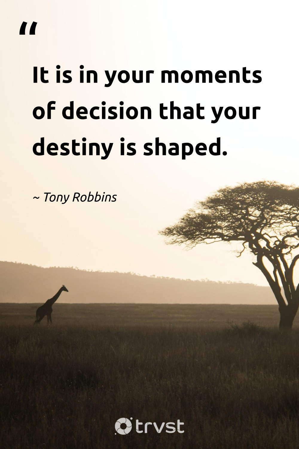 45 Fate Quotes Unlocking The Secrets Of Life’s Paths