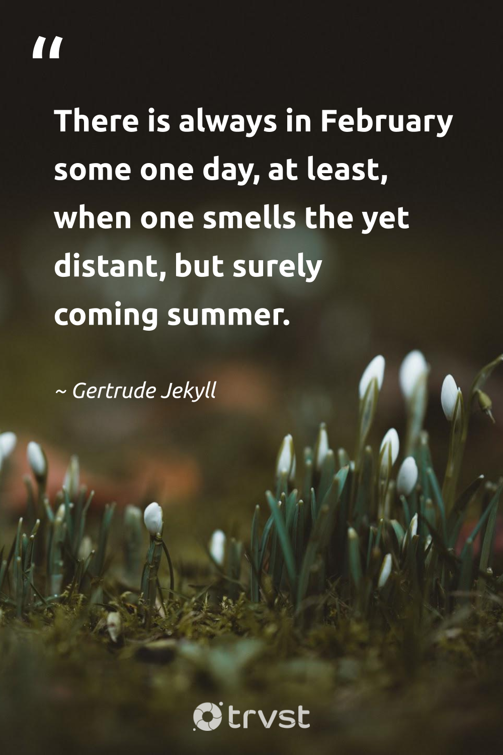 51 February Quotes To Fill the Shortest Month With Love