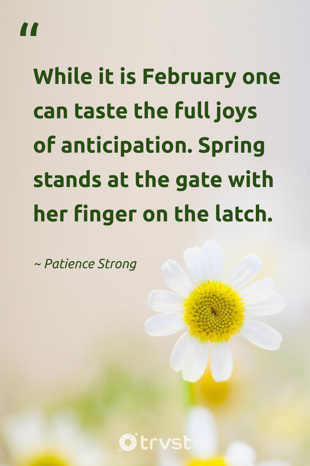 51 February Quotes To Fill the Shortest Month With Love