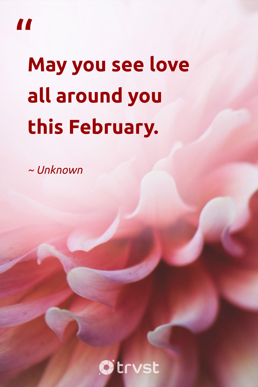 51 February Quotes To Fill the Shortest Month With Love
