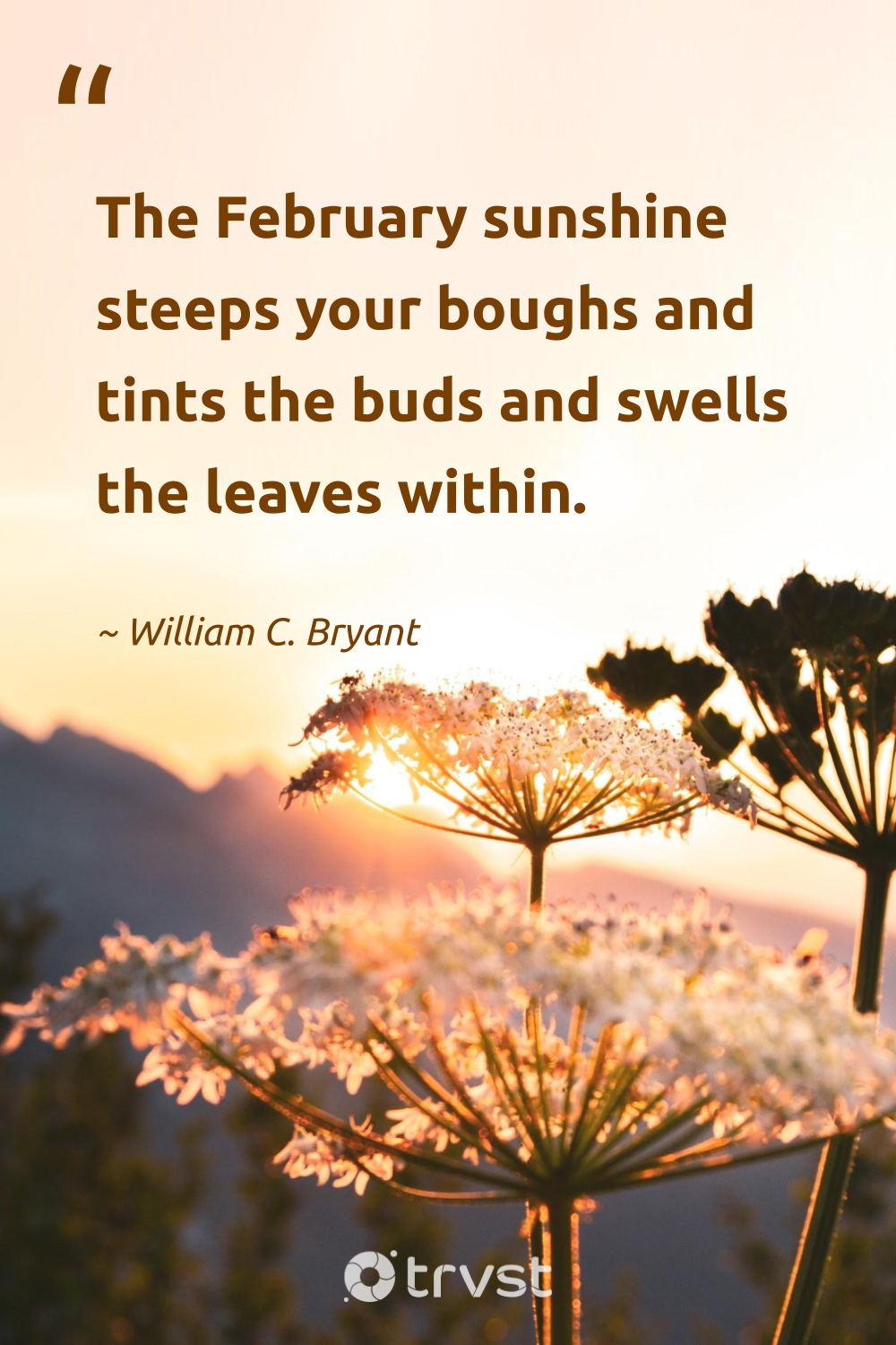 51 February Quotes To Fill the Shortest Month With Love