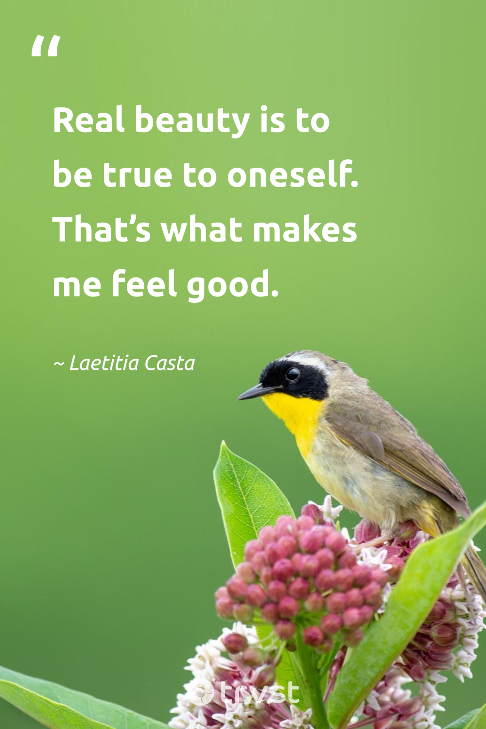 35 Feel Better Quotes For An Instant Comfort