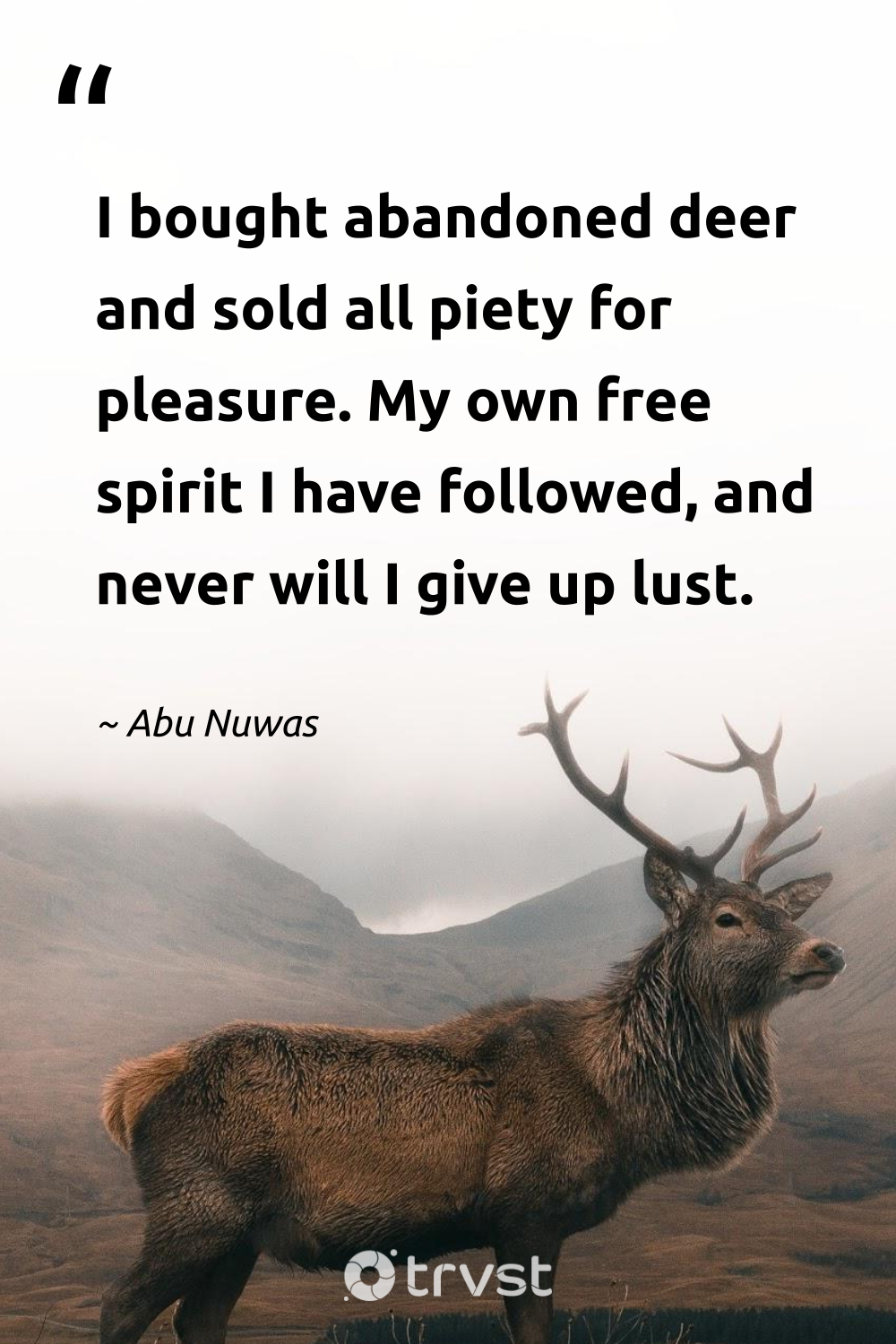 55 Free Spirit Quotes Embodying A Free Soul (2024)