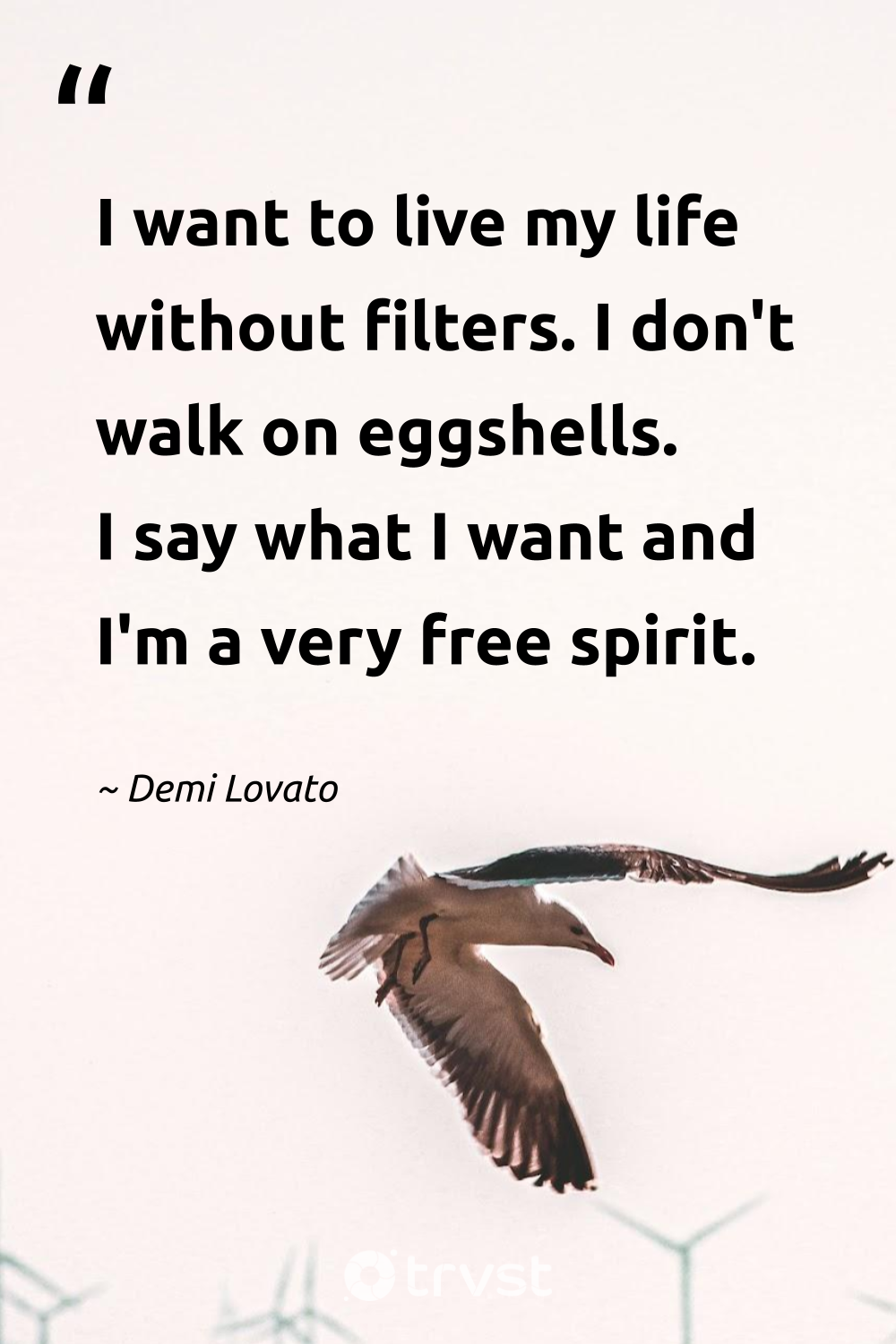 55 Free Spirit Quotes Embodying A Free Soul (2024)