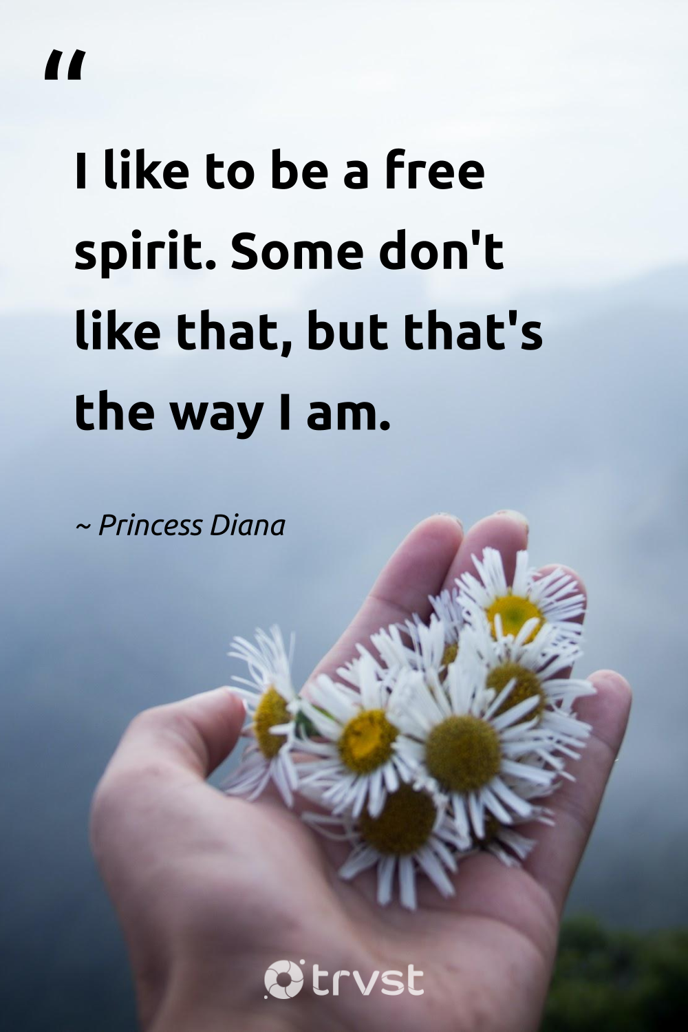 55 Free Spirit Quotes Embodying A Free Soul (2024)