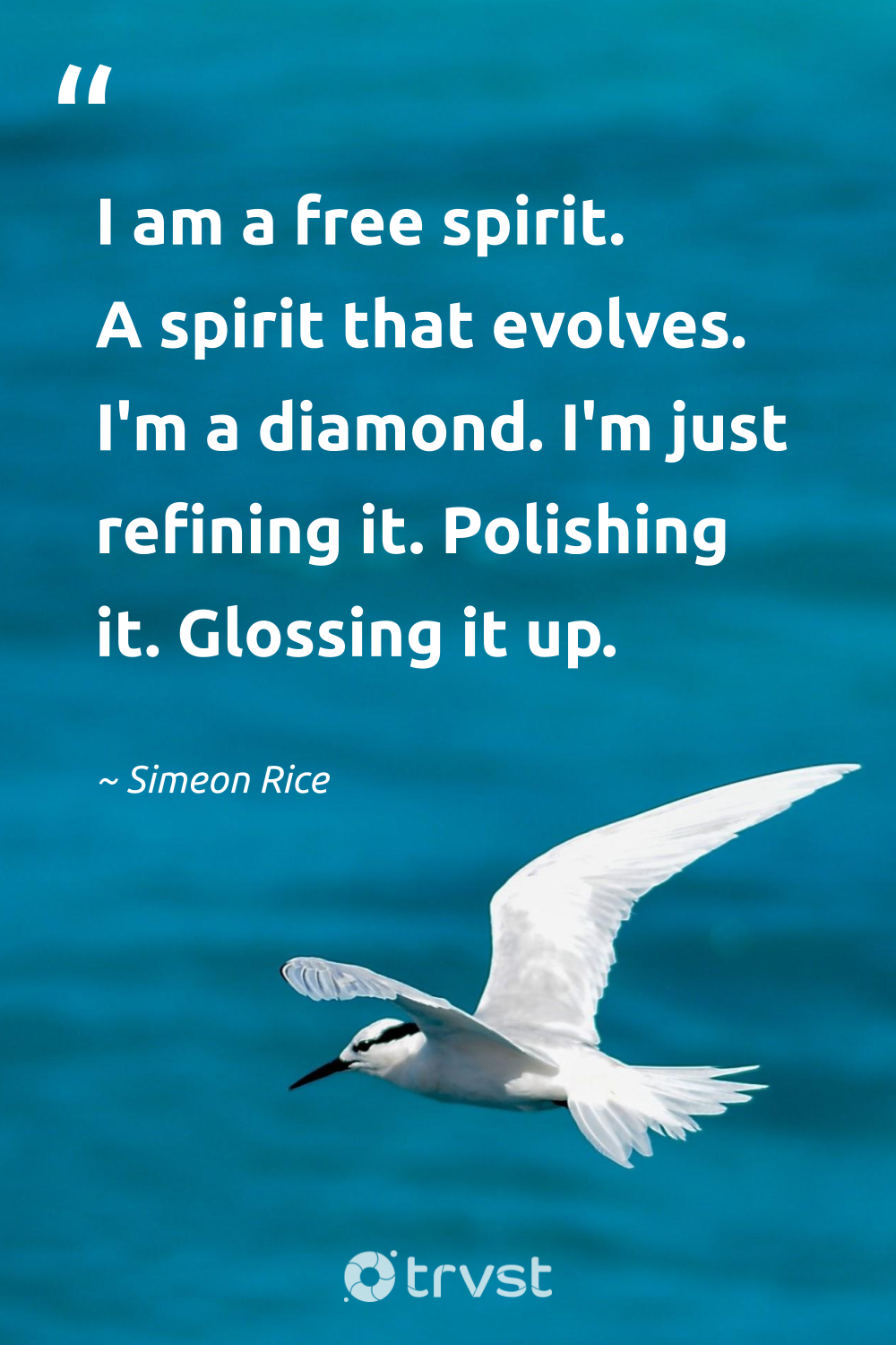 55 Free Spirit Quotes Embodying A Free Soul (2025)