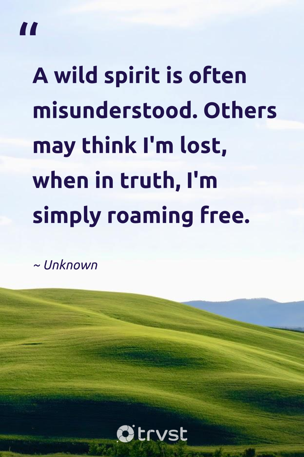 55 Free Spirit Quotes Embodying A Free Soul (2024)