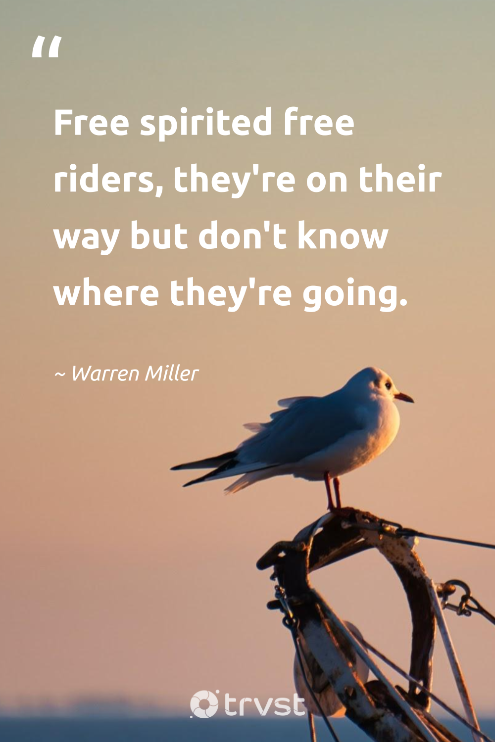 55 Free Spirit Quotes Embodying A Free Soul (2024)