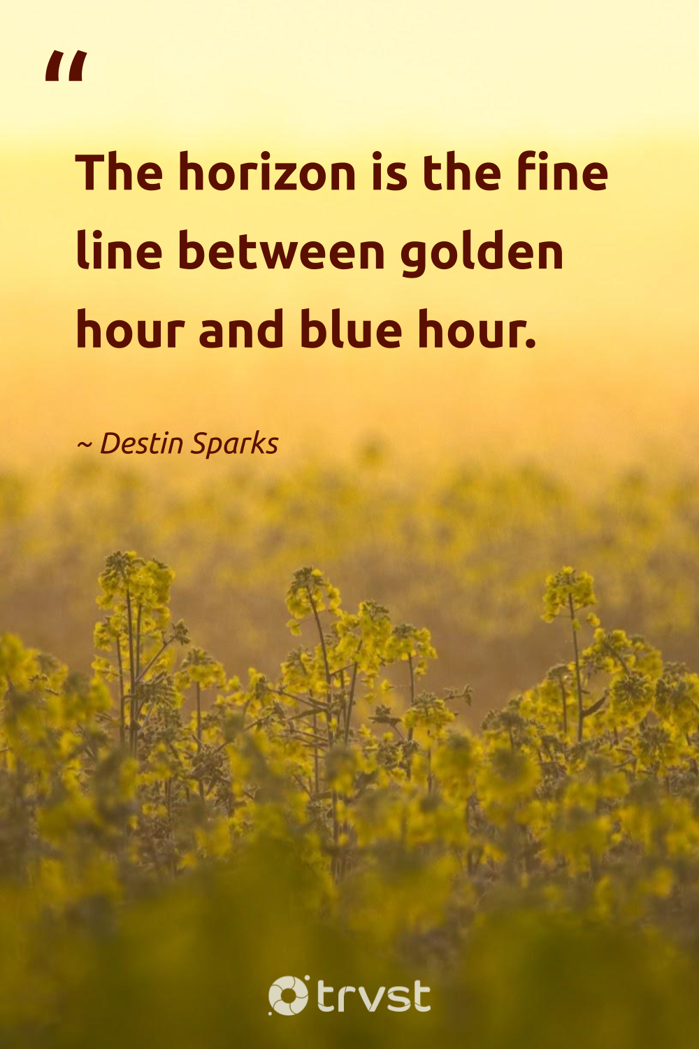 33 Golden Hour Quotes Exploring Nature’s Magic