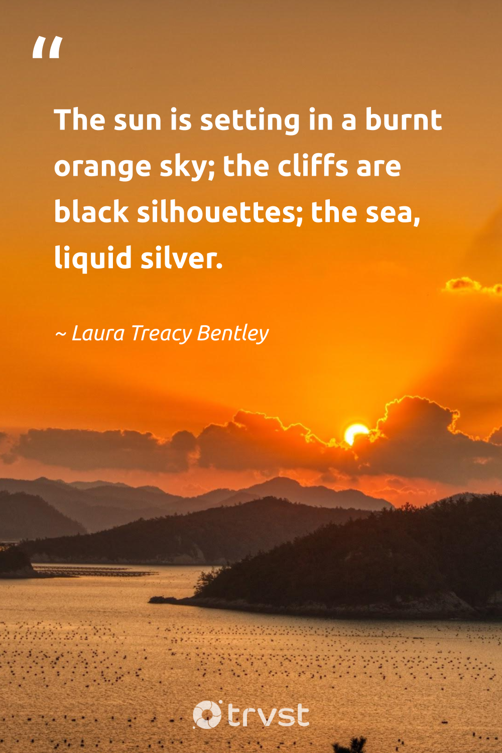 33 Golden Hour Quotes Exploring Nature’s Magic