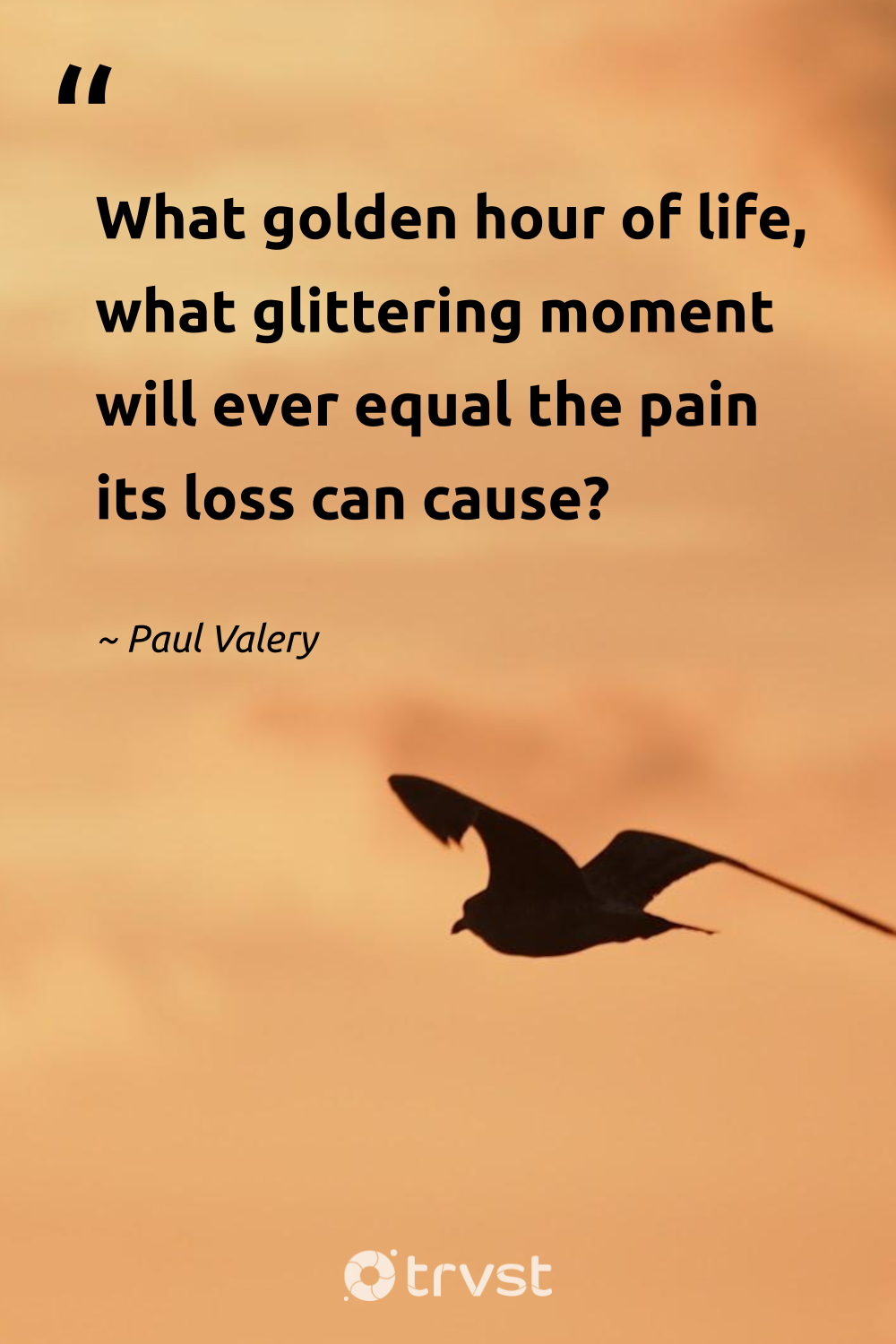 33 Golden Hour Quotes Exploring Nature’s Magic