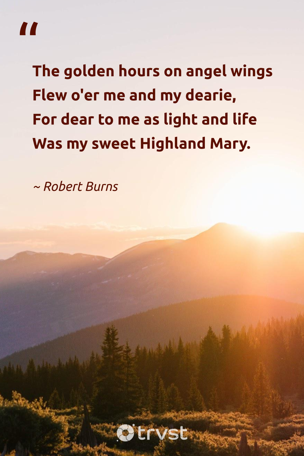 33 Golden Hour Quotes Exploring Nature’s Magic