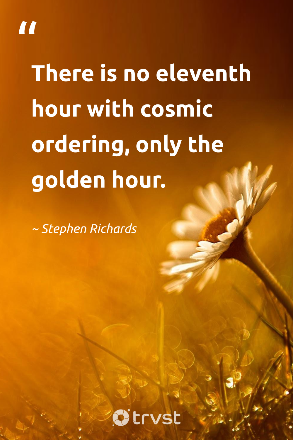 33 Golden Hour Quotes Exploring Nature’s Magic