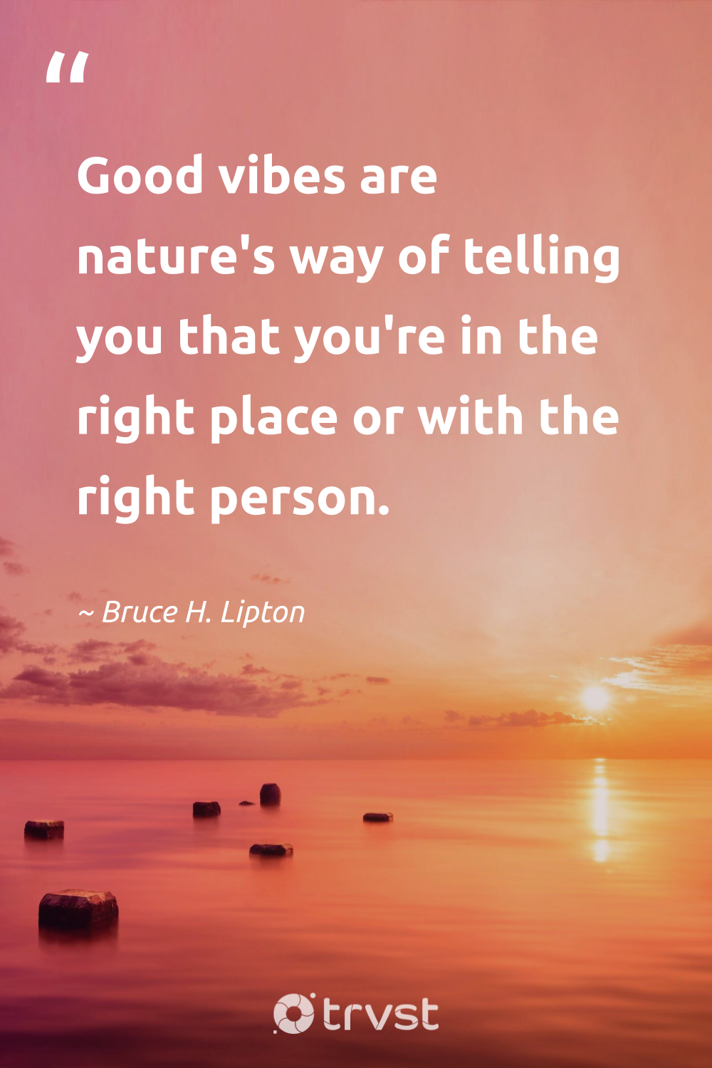 76 Good Vibes Quotes to Keep the Positivity Flowing (2025)