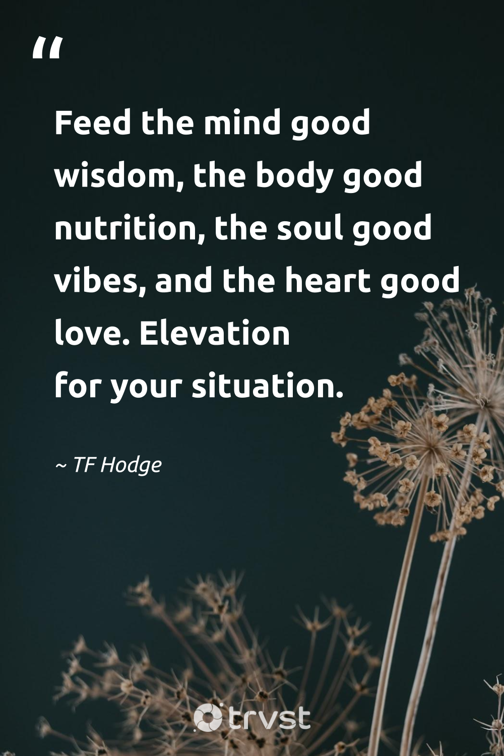 76 Good Vibes Quotes to Keep the Positivity Flowing (2024)