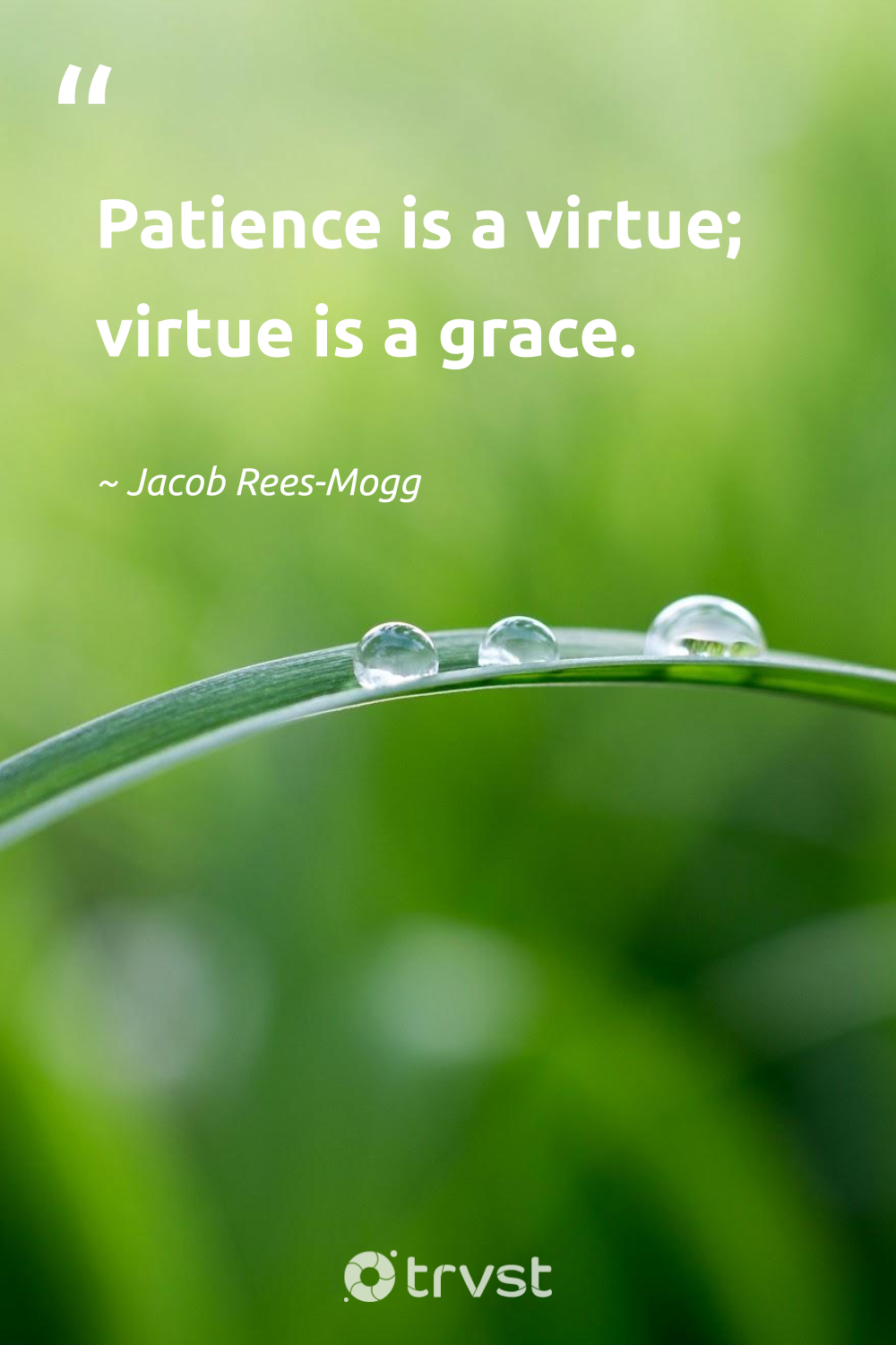 34 Grace Quotes And Captions To Enrich Your Heart and Spirit