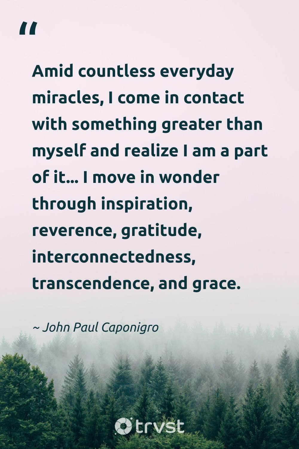 34 Grace Quotes And Captions To Enrich Your Heart and Spirit