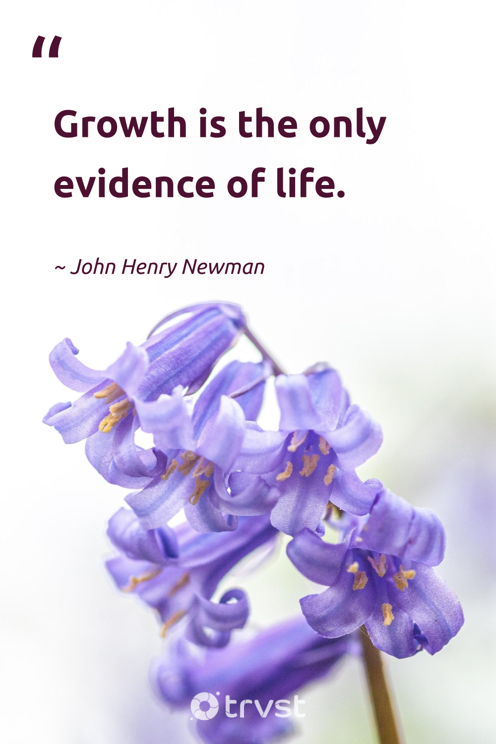 56 Growing Up Quotes For Every Age From Youth to Wisdom (2025)