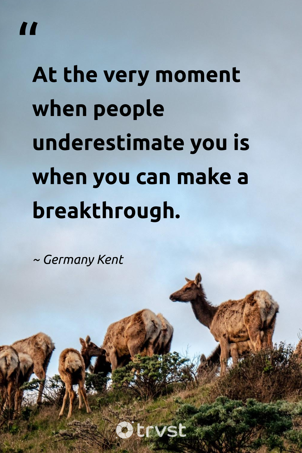 46 Hang In There Quotes To Inspire Progress & Resilience (2025)