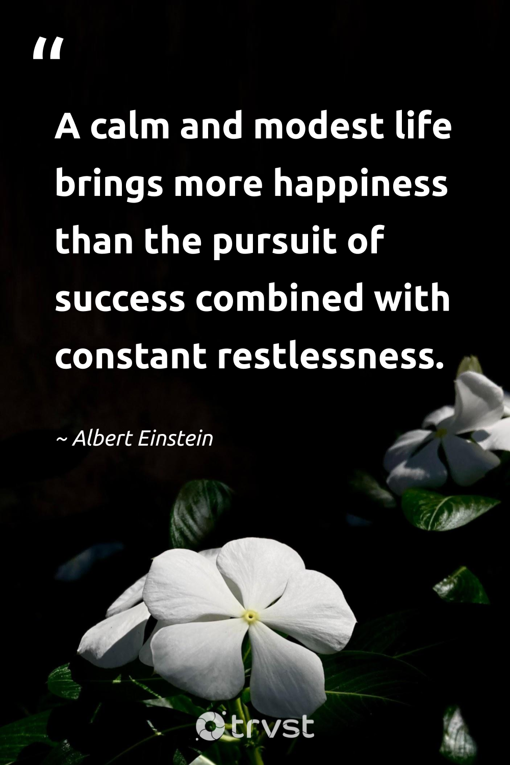 99 Happiness Quotes and Sayings to Inspire Happy Living (2025)