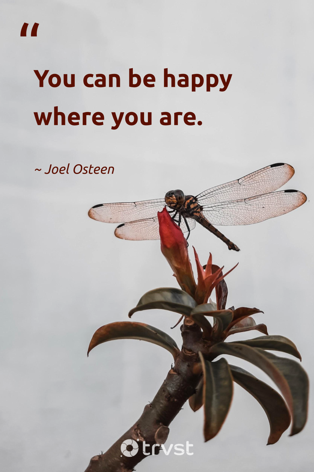 99 Happiness Quotes and Sayings to Inspire Happy Living (2025)