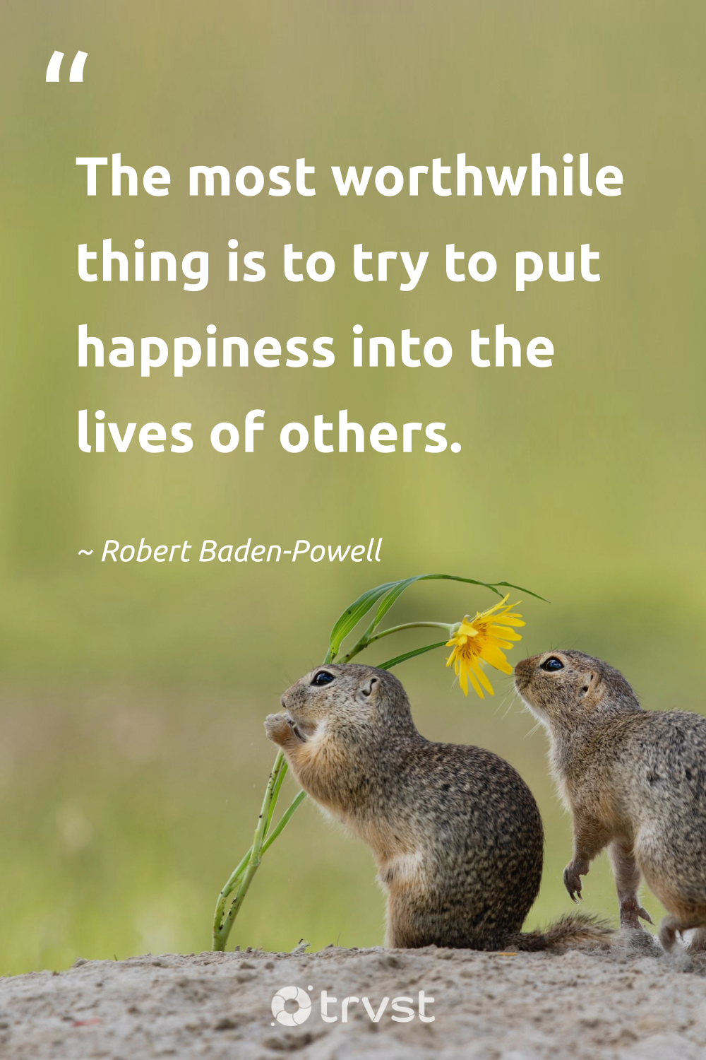 99 Happiness Quotes and Sayings to Inspire Happy Living (2024)